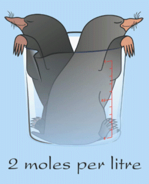 Science | year ten | 10 | junior | Maroochydore High School