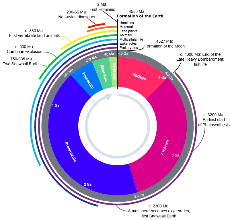 Science | year ten | 10 | junior | Maroochydore High School