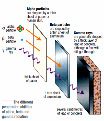 Science | year nine | middle junior | Maroochydore High School